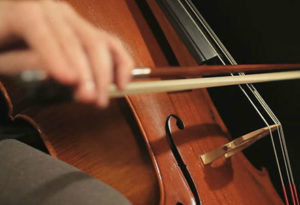 Cinematic Studio Solo Strings – Cinematic Studio Series